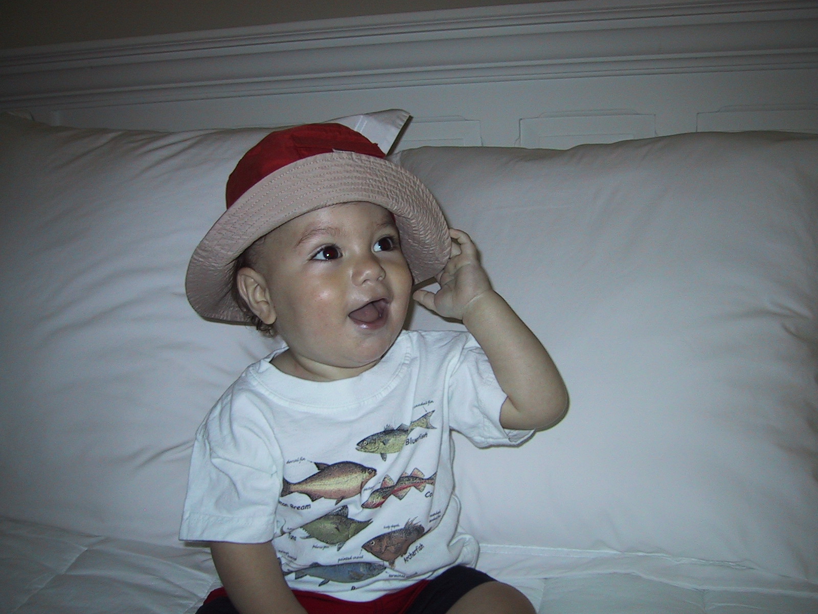 Kyle's History - My Global Cuisine